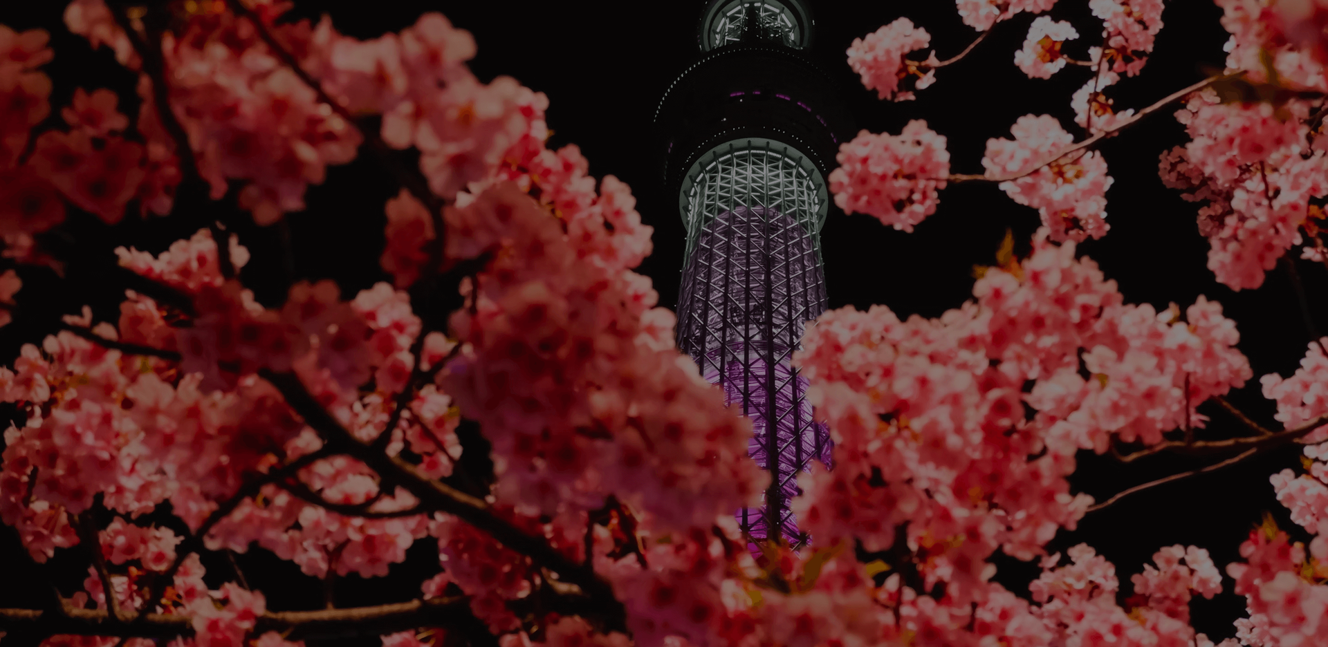 Vertex Ventures Japan